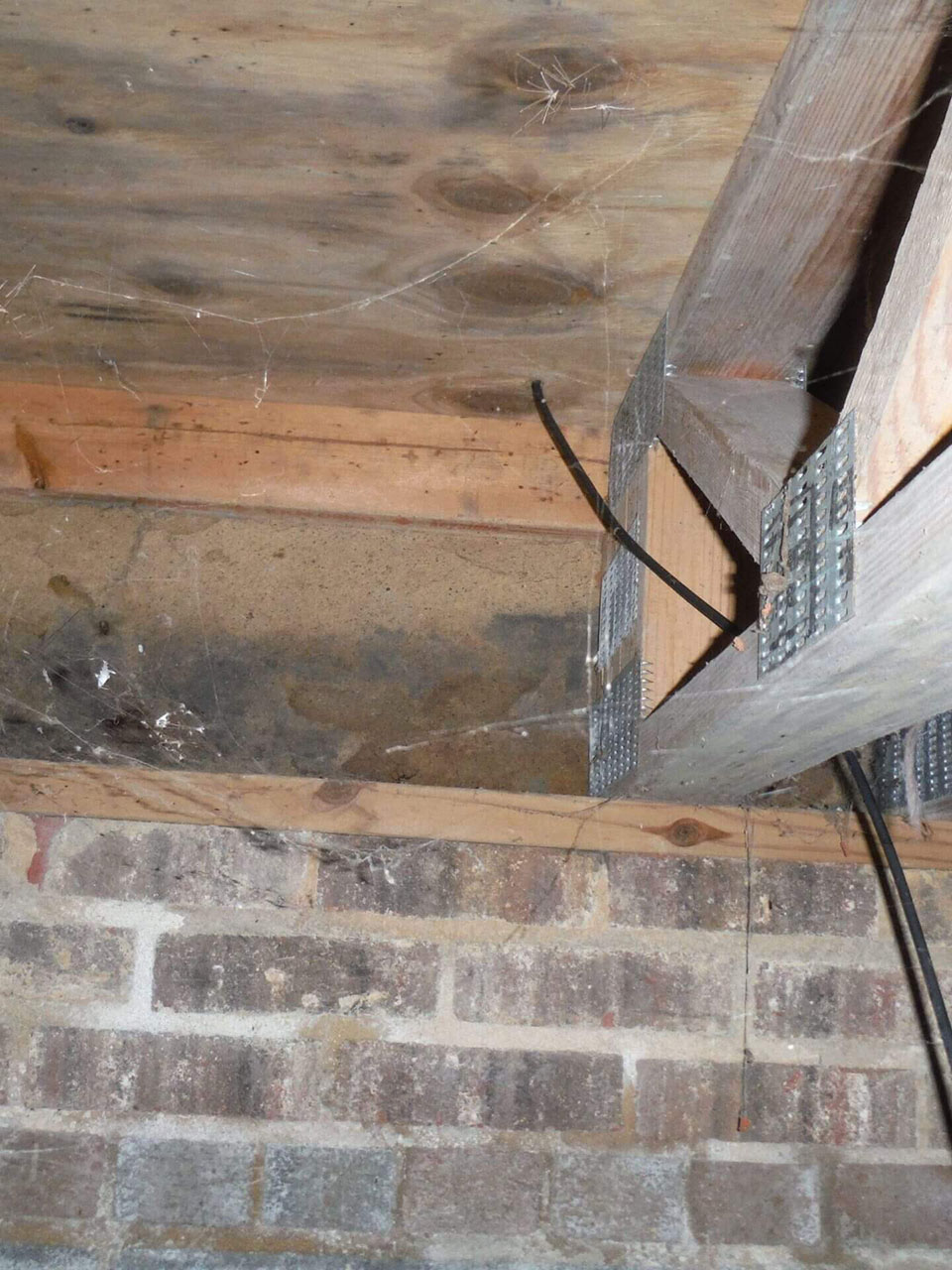 Wood Rot in Floor Joists | ’58 Foundations & Waterproofing