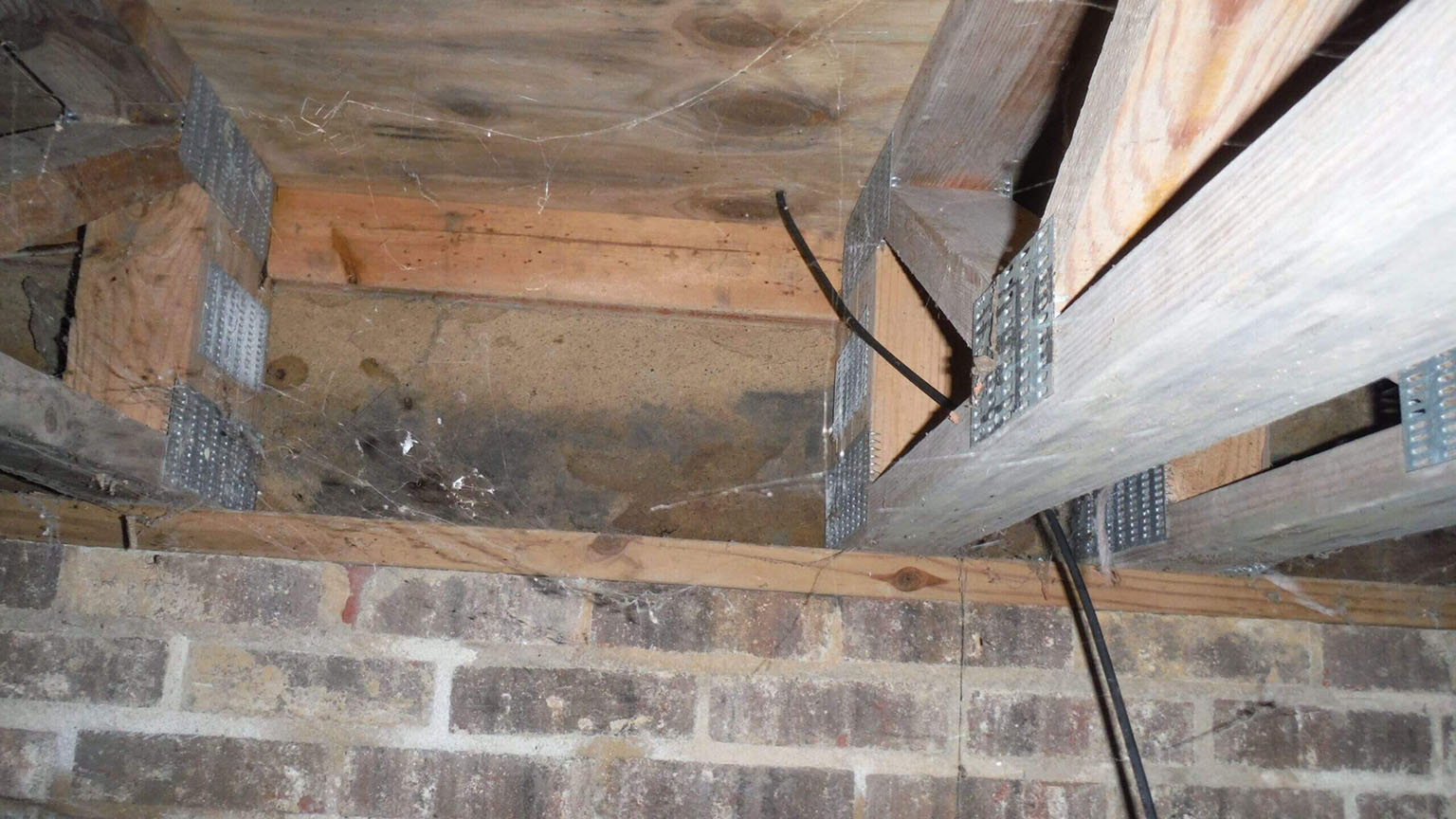 What To Do When You Find Wood Rot | ’58 Foundations | ’58 Foundations ...