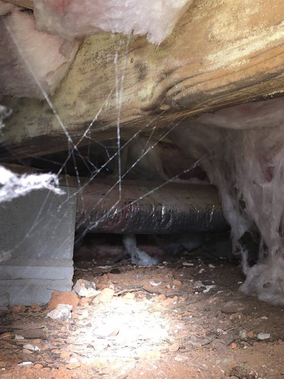 Damp Basement or Crawl Space | ’58 Foundations & Waterproofing