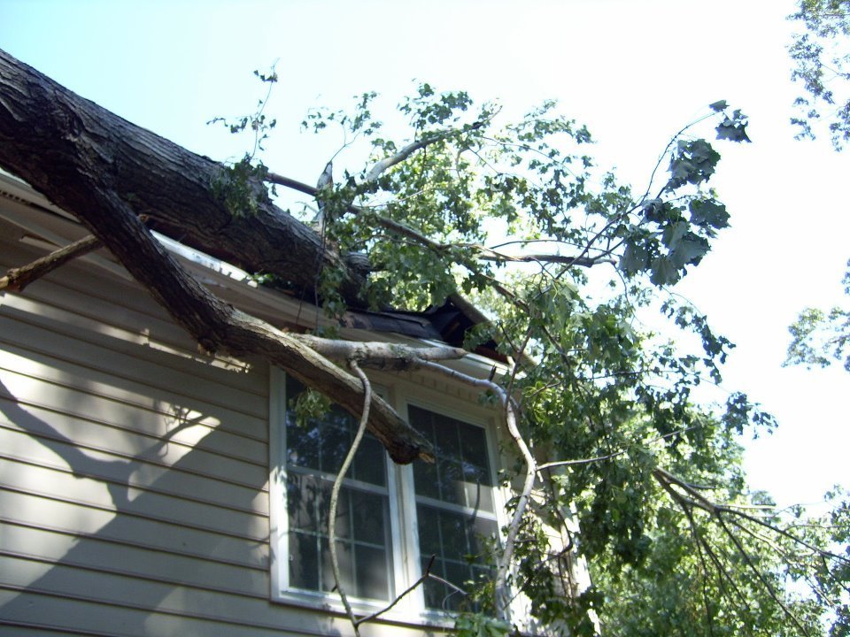 Hurricane Readiness 2020 | Hatchett Design/Remodel